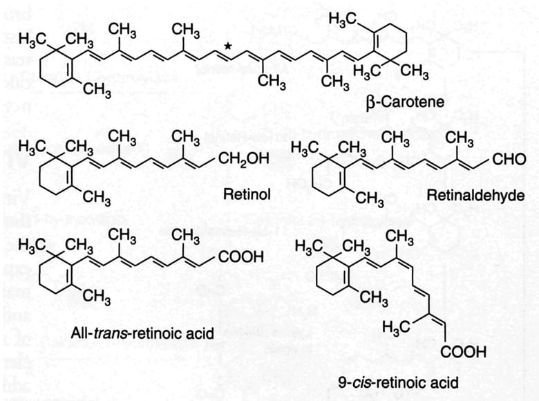 Vitamin A (Retinol); Function, Transport, Metabolism, Deficiency ...