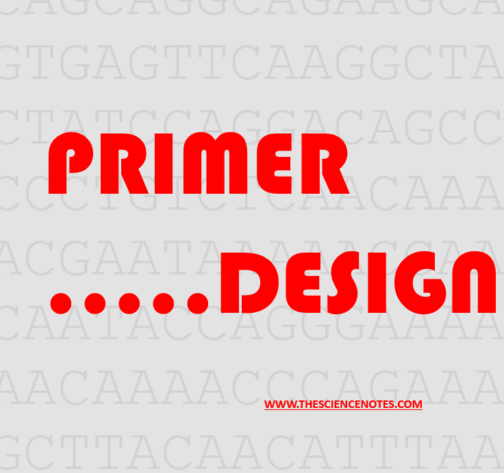 TIPS FOR EFFICIENT PRIMER DESIGN - THE SCIENCE NOTES