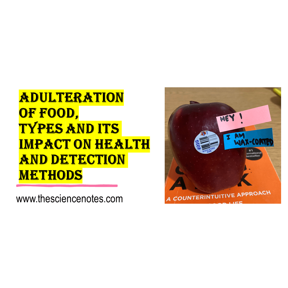 Adulteration of Food, Types and its Impact on Health and Detection Methods