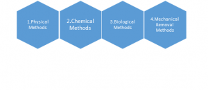 MICROBIAL CONTROL AND THEIR TYPES - The Science Notes