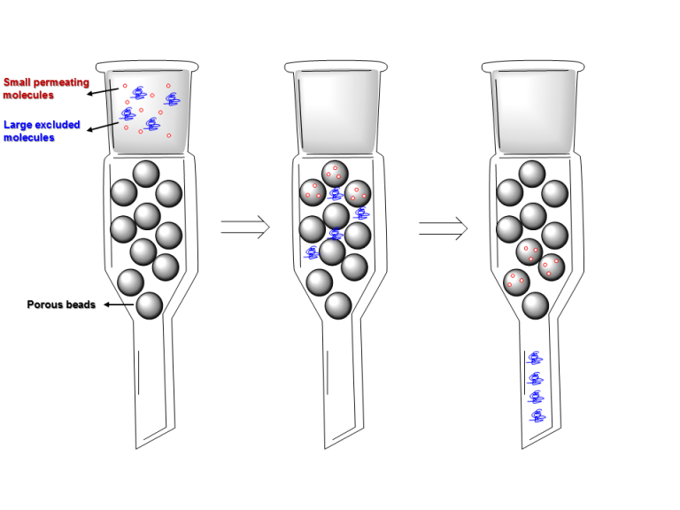 Chromatography: Definition, Principle, Types and Application