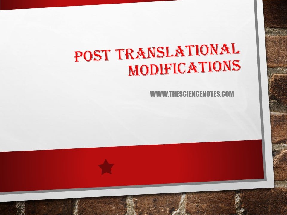 Post Translational Modifications Types And Functions