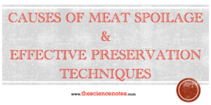 Causes of Meat Spoilage and Effective Preservation Techniques