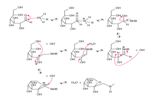 Browning of Food and its Types : Maillard reaction and Caramelization