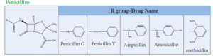 Penicillin: History, Structure, Classification, Mechanism of Action ...