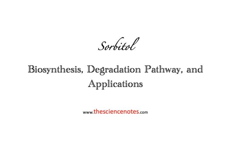 Sorbitol breakdown mechanism Archives - THE SCIENCE NOTES