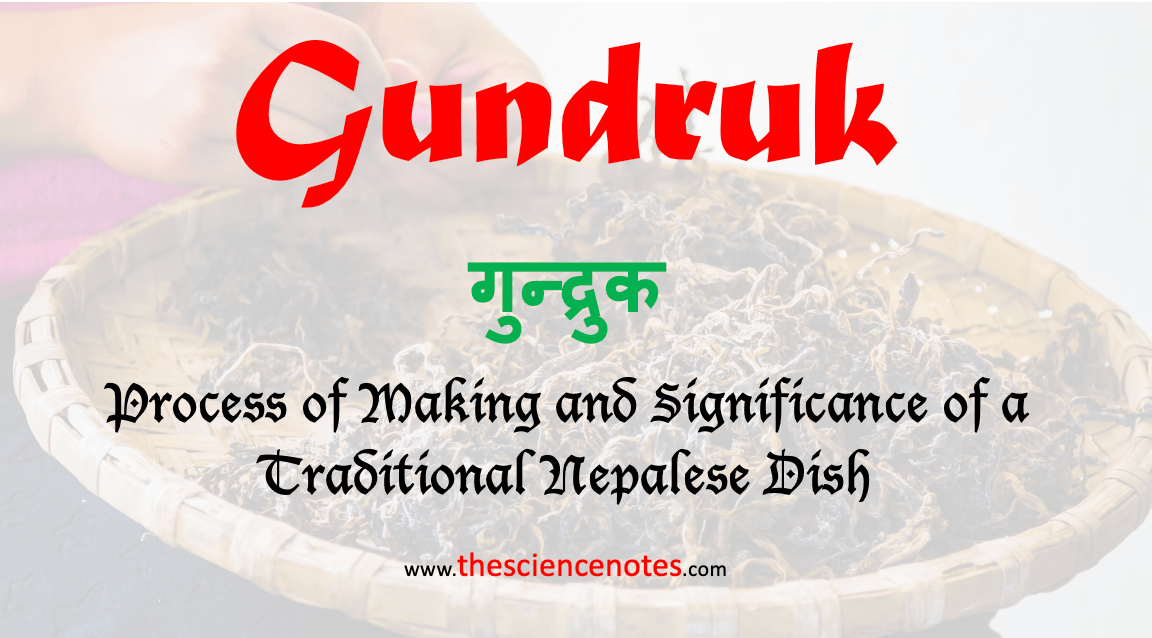 Gundruk: Process of Making, Nutritive value and Significance of a ...
