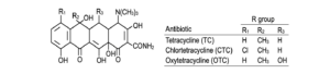 Tetracycline: Production, Biosynthesis, and Mechanism of Action - THE ...