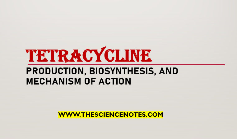 Tetracycline: Production, Biosynthesis, and Mechanism of Action - The ...