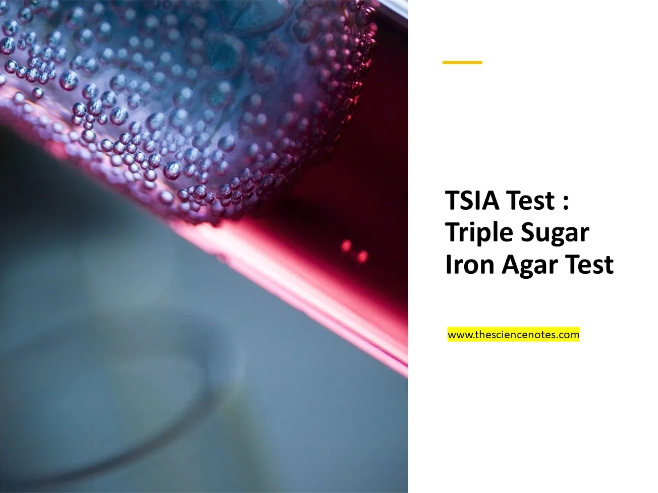 TSIA Test : Triple Sugar Iron Agar Test - The Science Notes