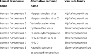 Human Herpesviruses (HHV 1-8) - THE SCIENCE NOTES